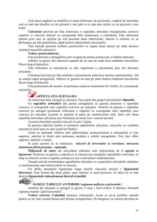 Carte anatomie lp | PDF