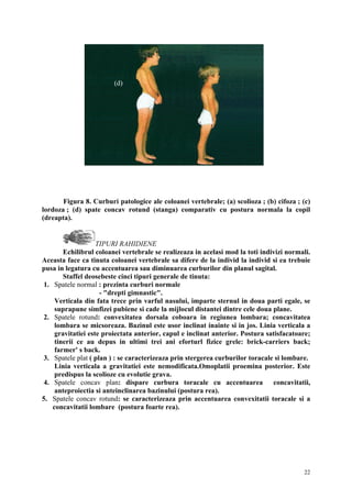 Carte anatomie lp | PDF