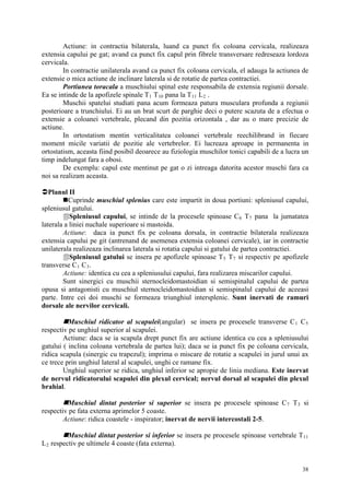 Carte anatomie lp | PDF