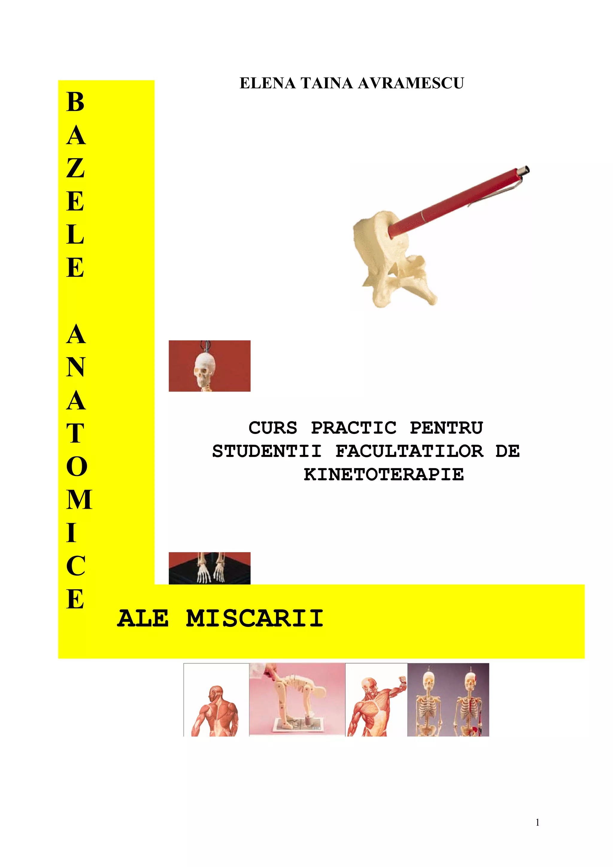 Carte anatomie lp | PDF