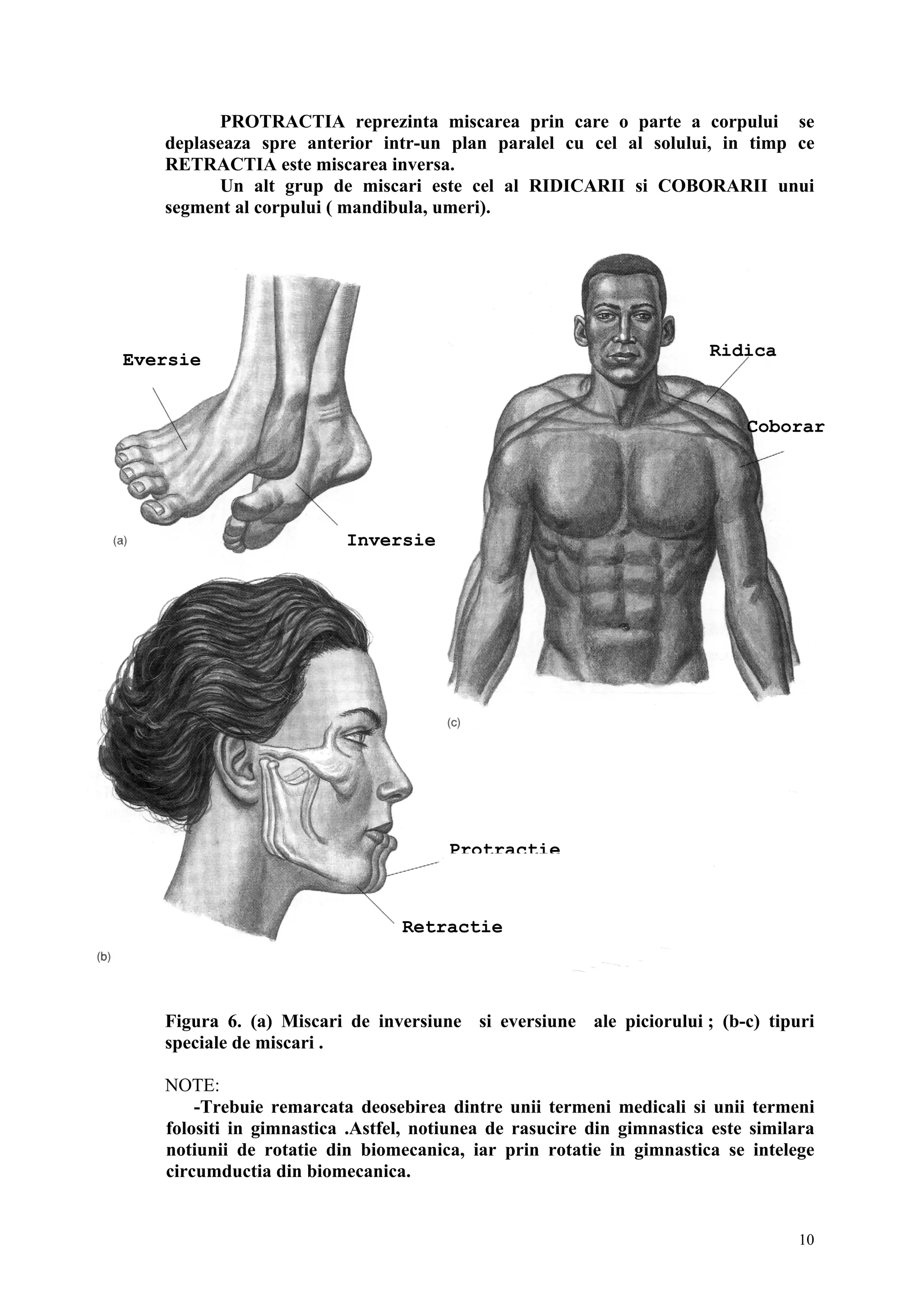 Carte anatomie lp | PDF