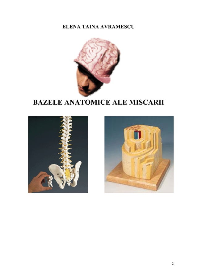 Carte anatomie lp | PDF