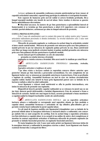 Carte anatomie lp | PDF