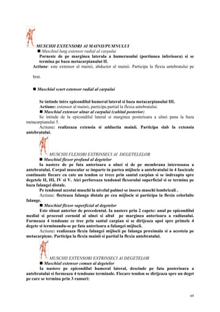 Carte anatomie lp | PDF