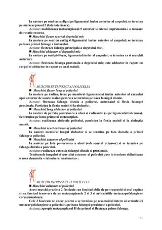Carte anatomie lp | PDF