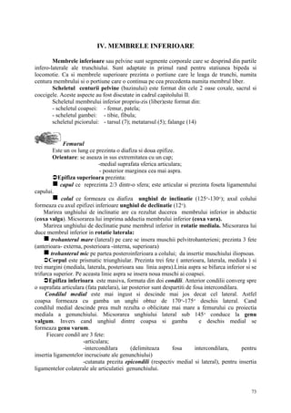 Carte anatomie lp | PDF