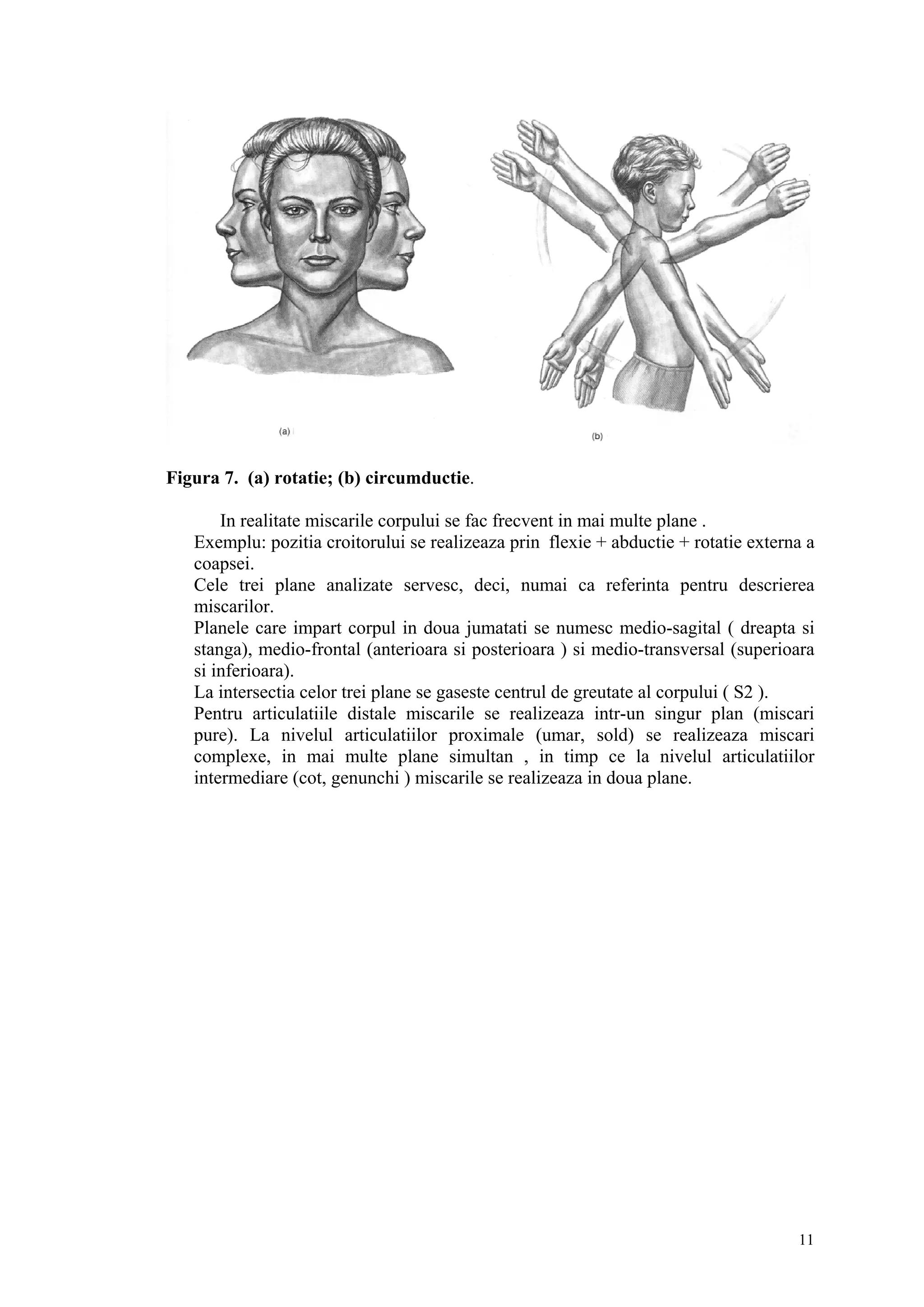 Carte anatomie lp | PDF
