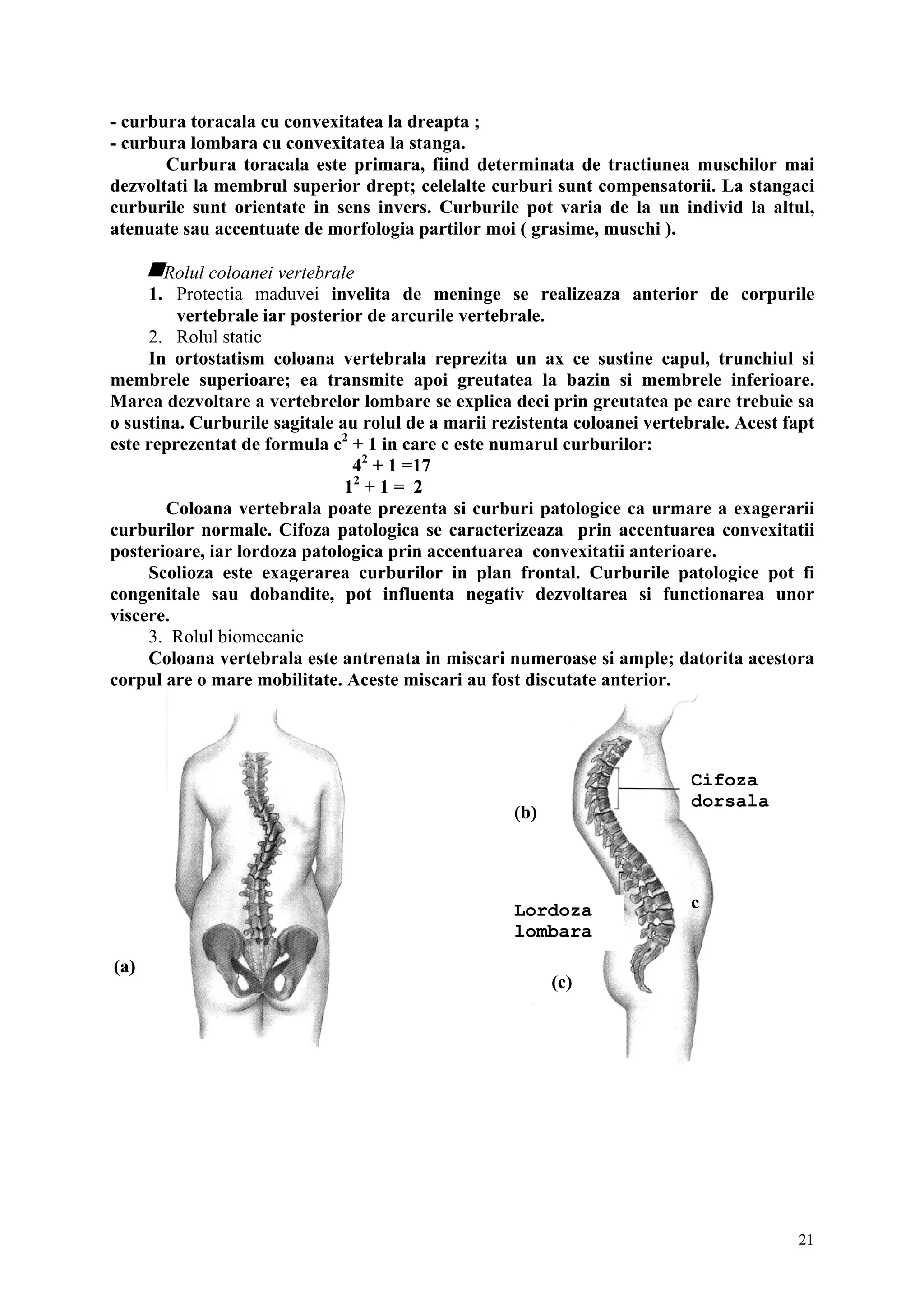 Carte anatomie lp | PDF