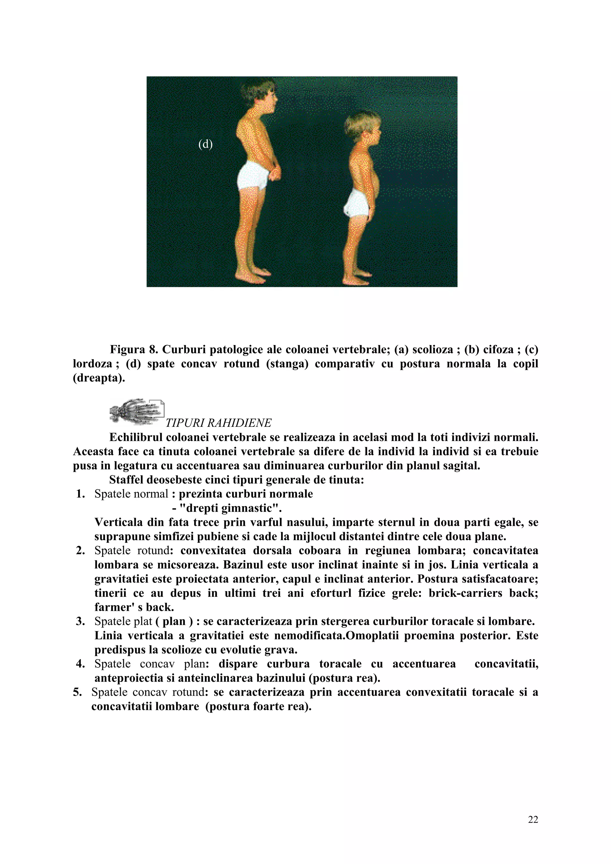 Carte anatomie lp | PDF