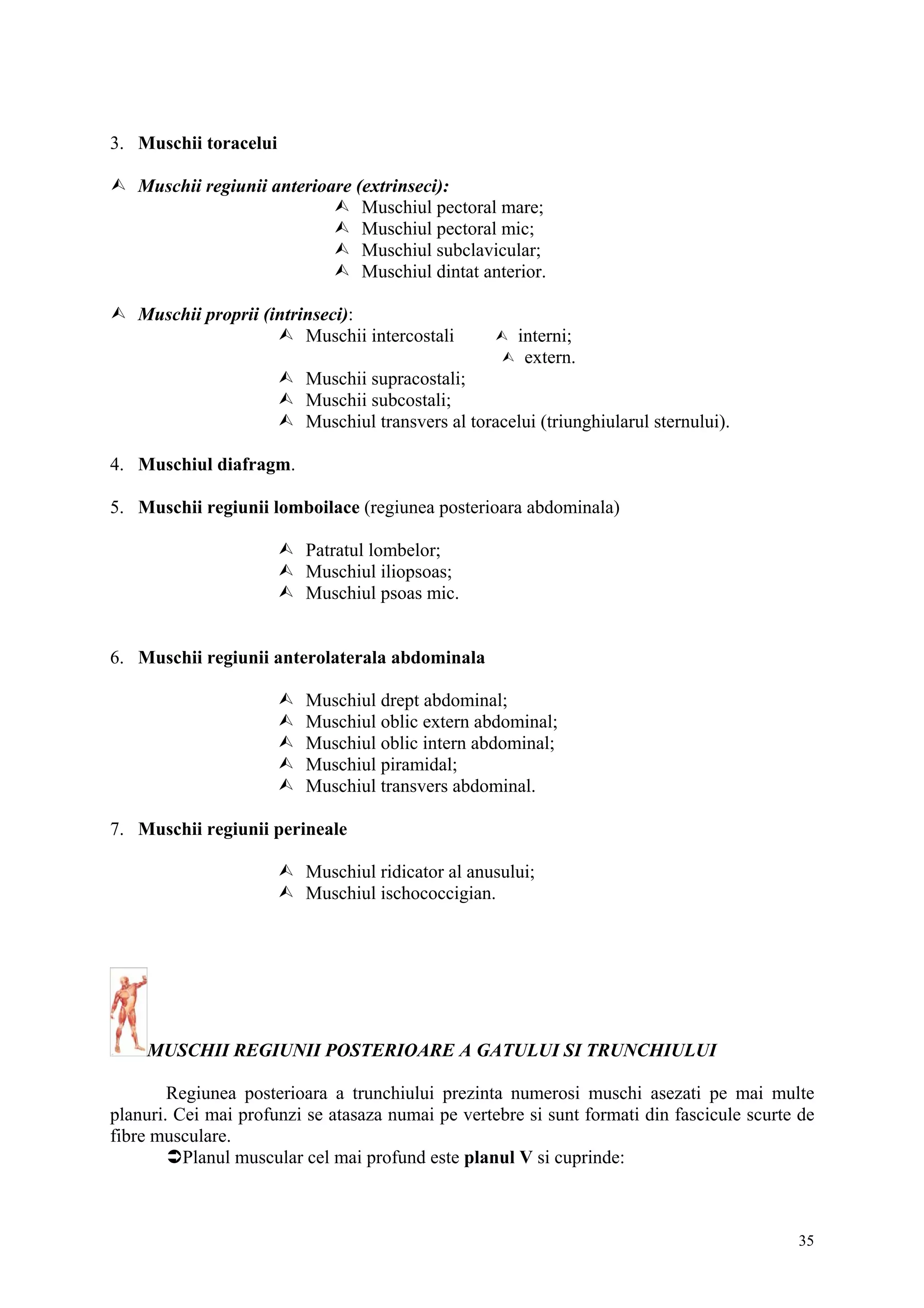 Carte anatomie lp | PDF