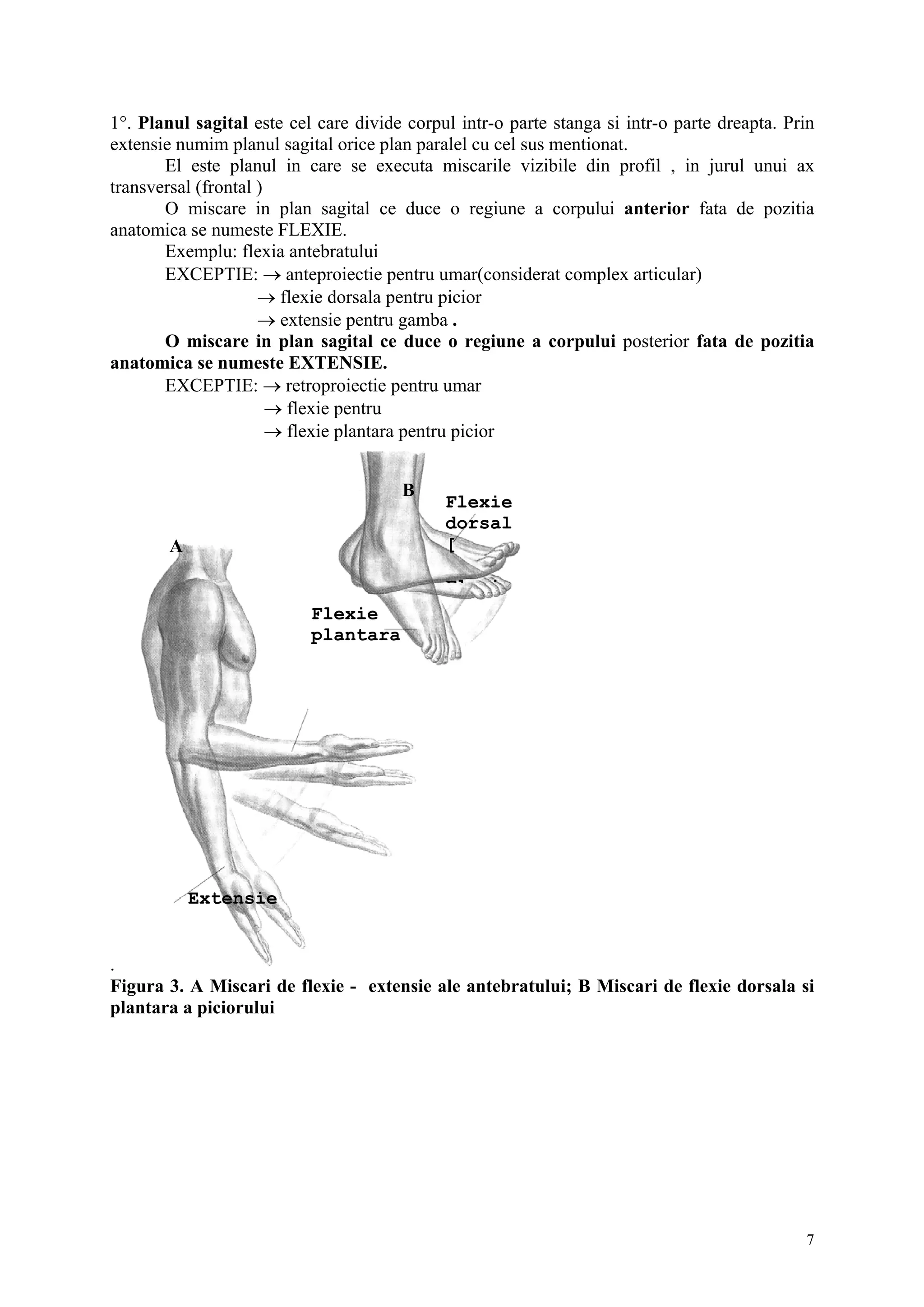 Carte anatomie lp | PDF