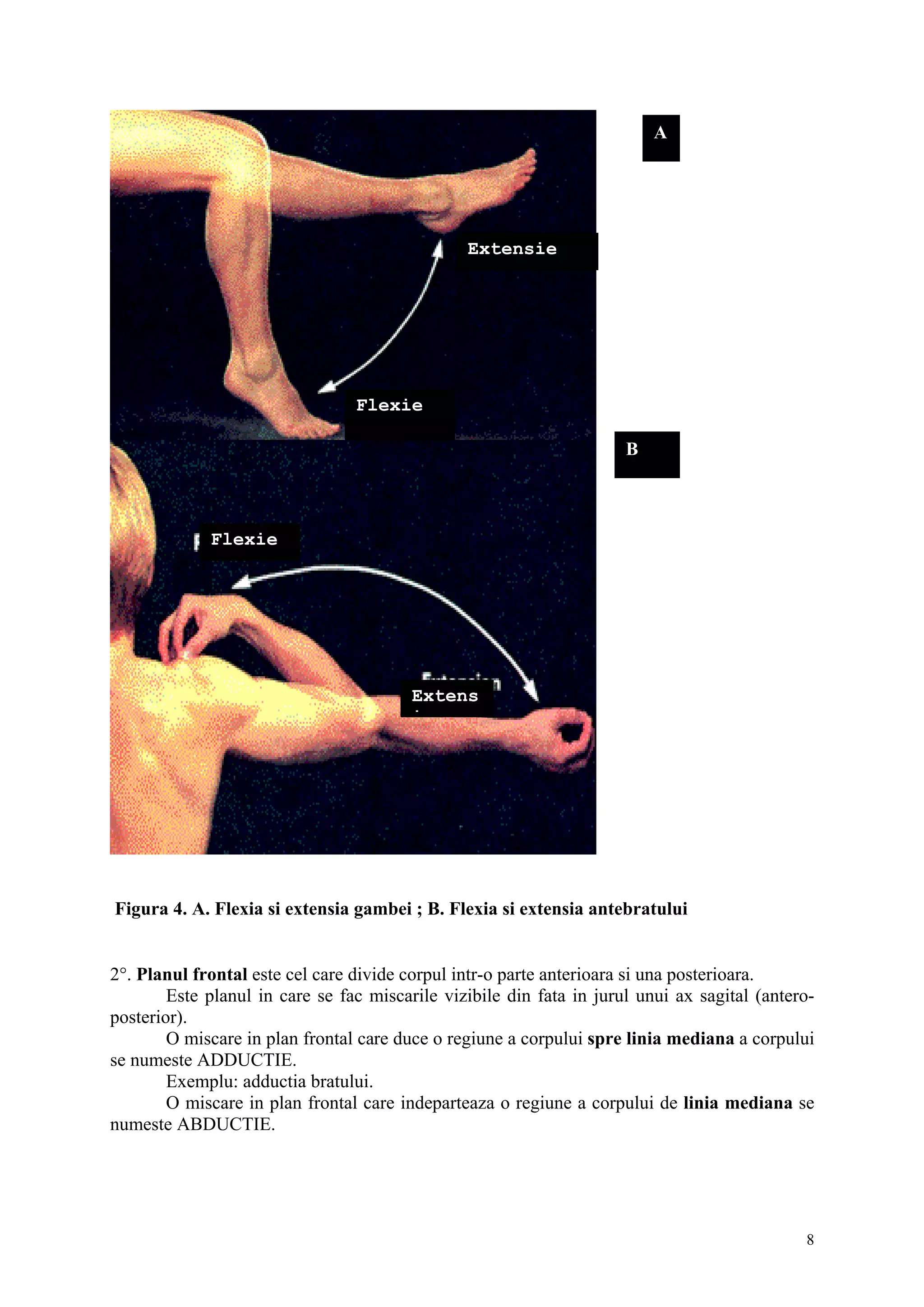 Carte anatomie lp | PDF