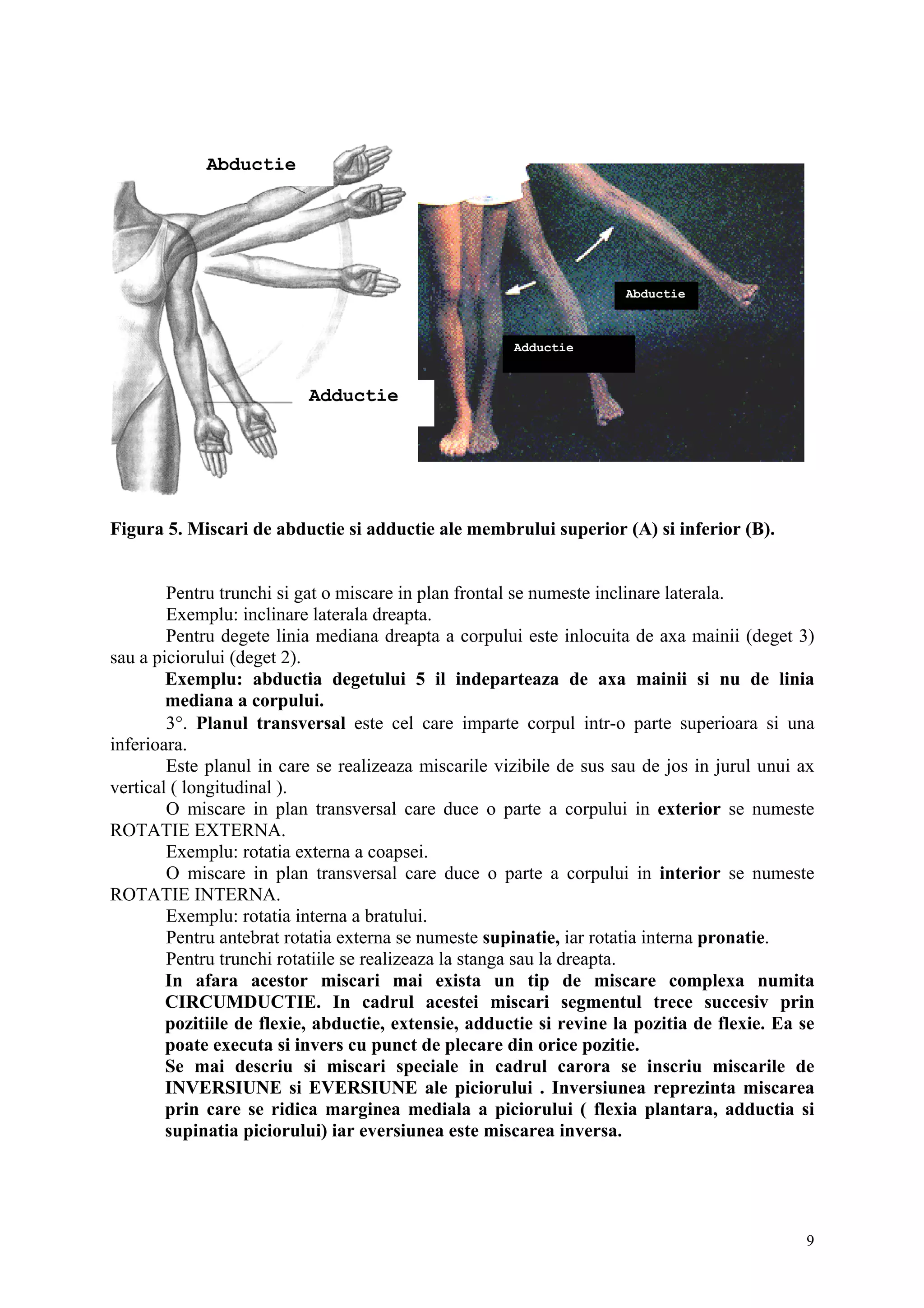 Carte anatomie lp | PDF