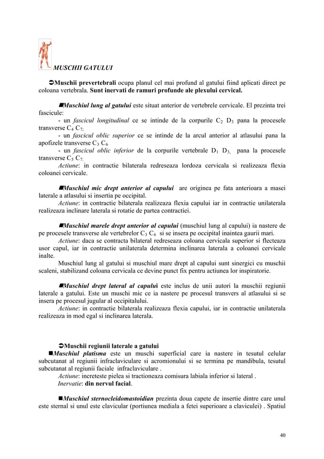 Carte anatomie lp | PDF