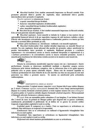 Carte anatomie lp | PDF