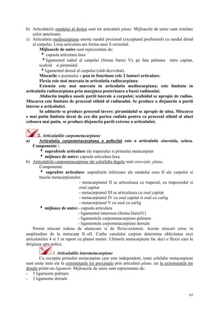 Carte anatomie lp | PDF