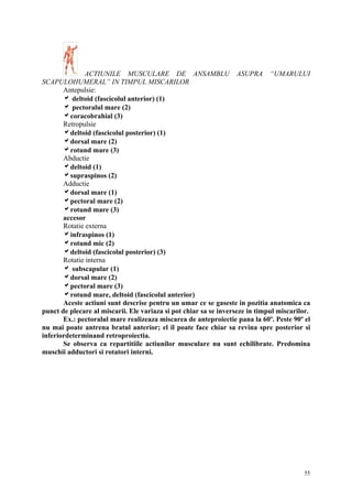 Carte anatomie lp | PDF