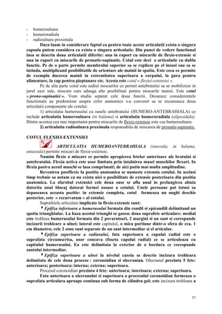 Carte anatomie lp | PDF
