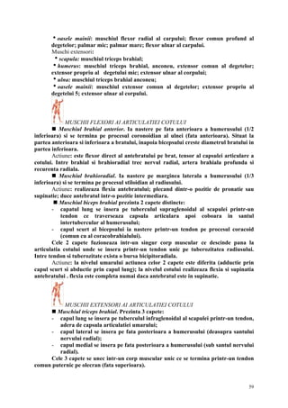 Carte anatomie lp | PDF