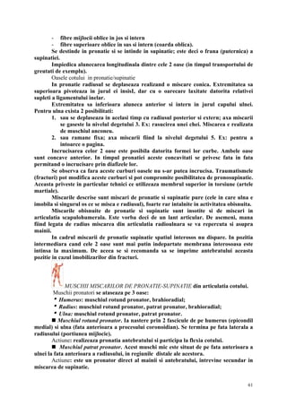 Carte anatomie lp | PDF