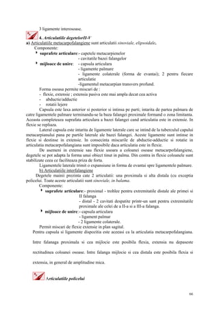 Carte anatomie lp | PDF