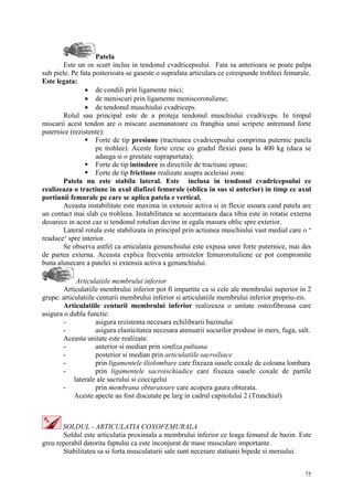 Carte anatomie lp | PDF