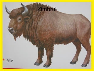 Cartea roşie animalele | PPT