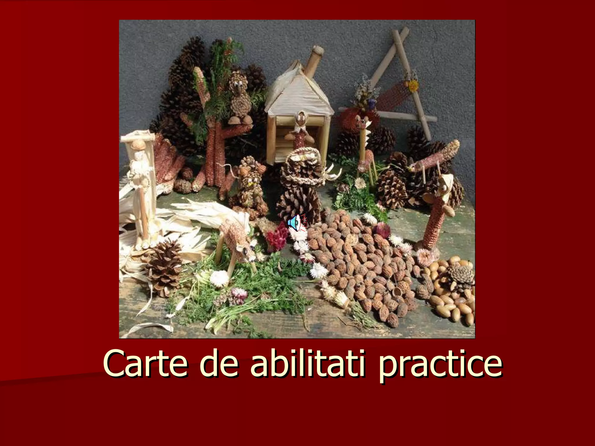 Carte de abilitati practice | PPT