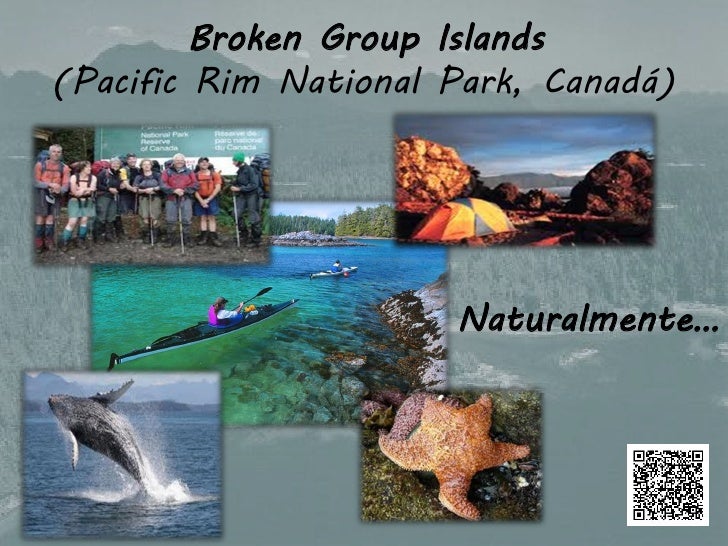 Cartel Broken Group Islands