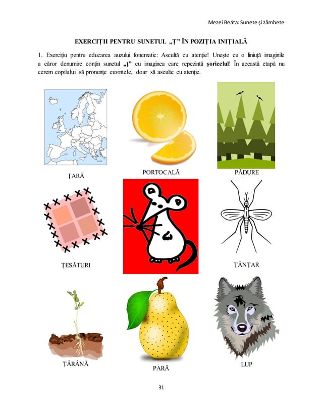 Carte logopedie sigmatism | PDF