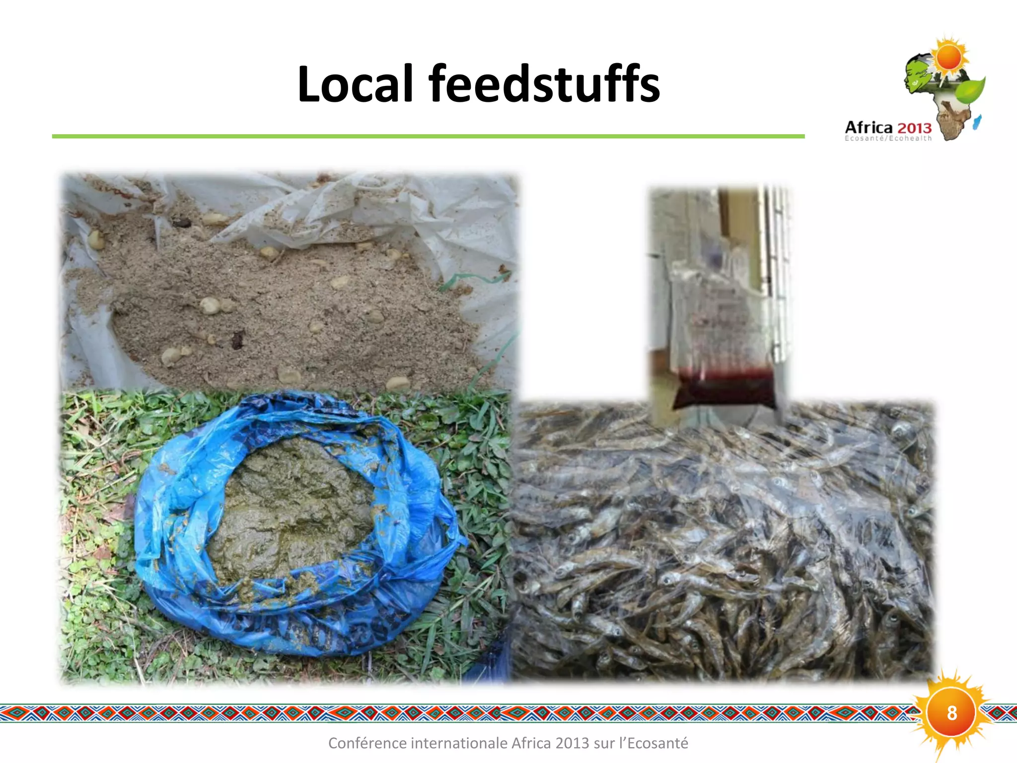 Nutritional value of locally available African pig feed ingredients: A ...