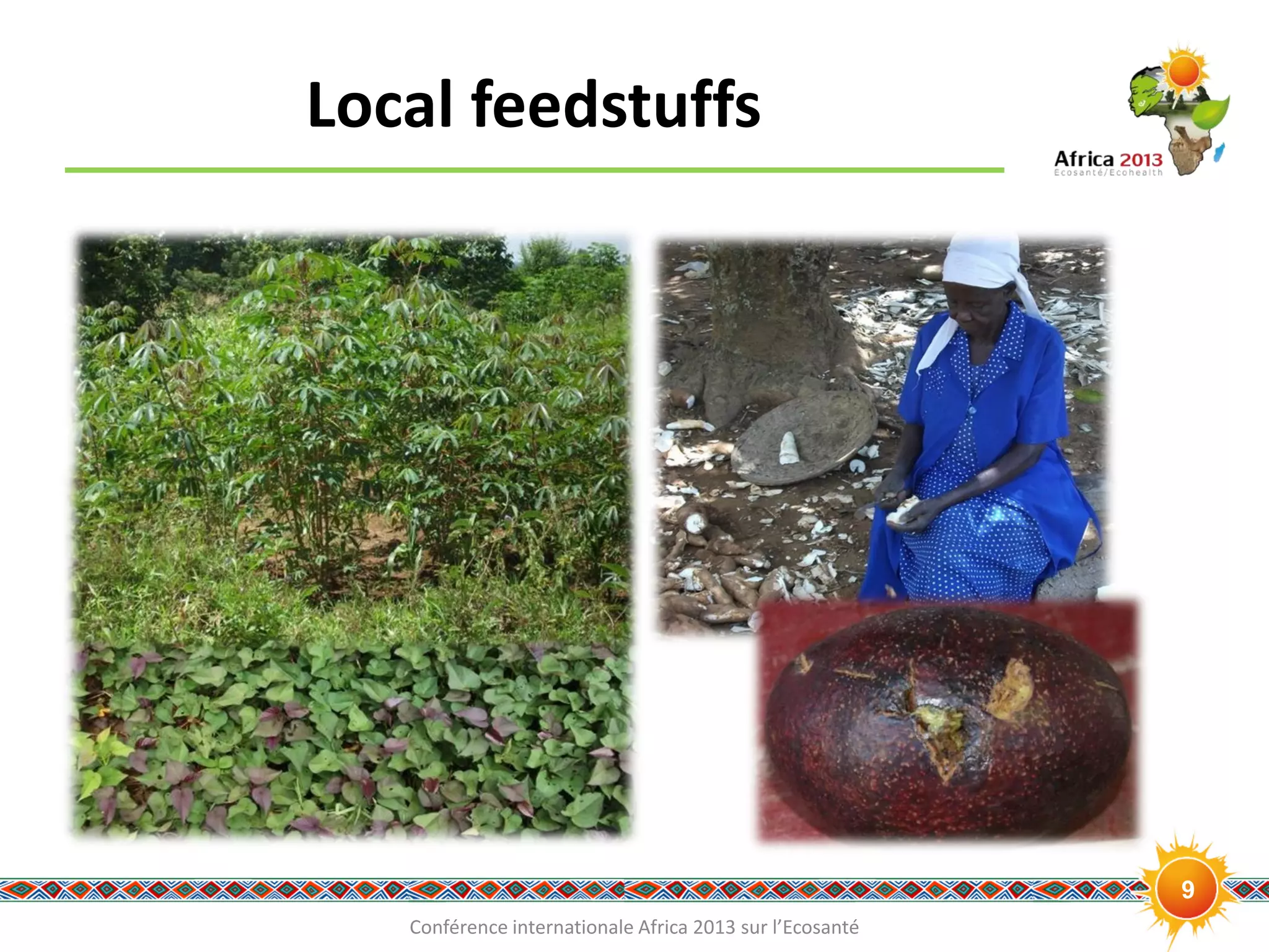 Nutritional value of locally available African pig feed ingredients: A ...