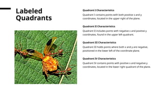 Cartesian_Coordinate_Plane_with_Exercises.pptx