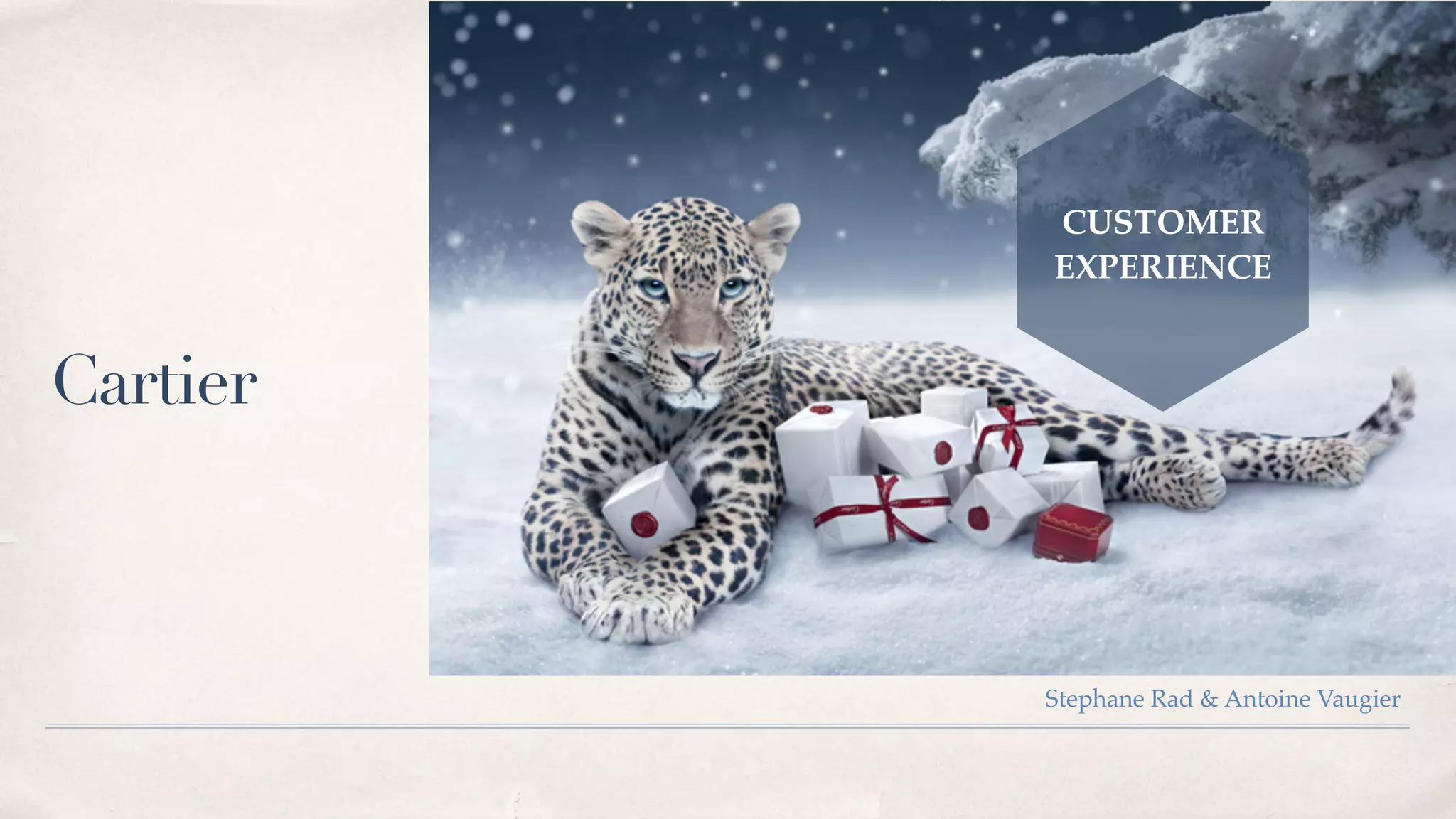 Cartier : consumer experience | PDF