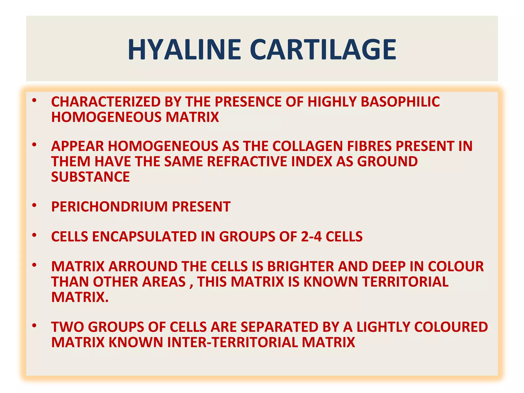 Cartilage | PPT