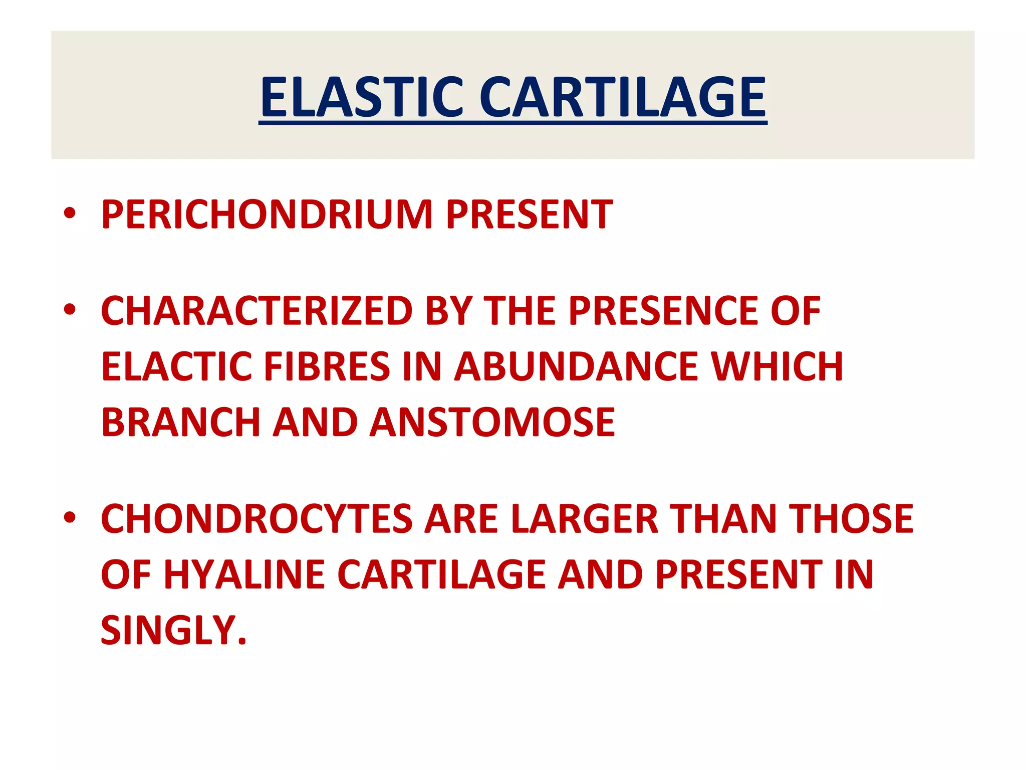 Cartilage | PPT