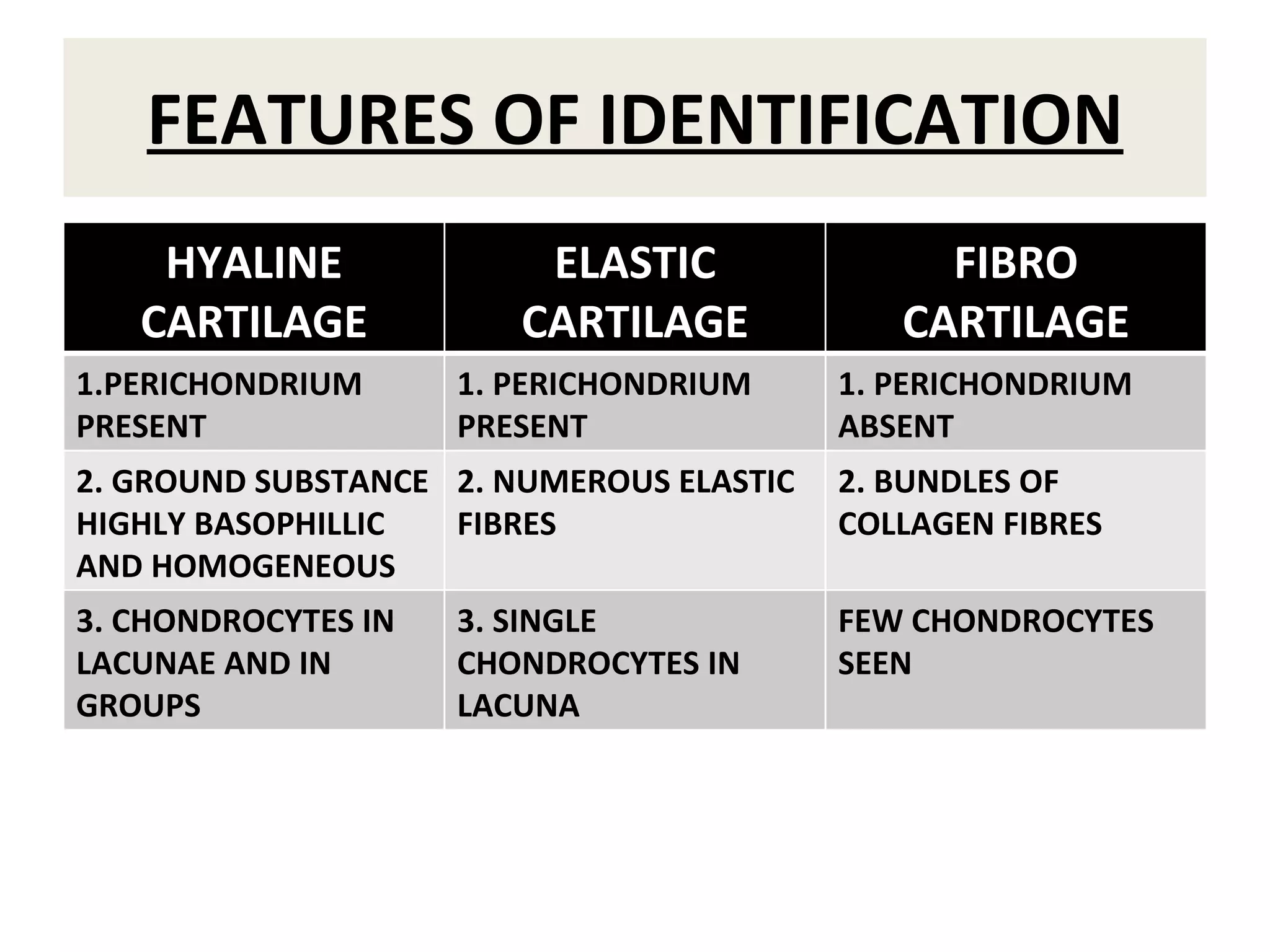 Cartilage | PPT