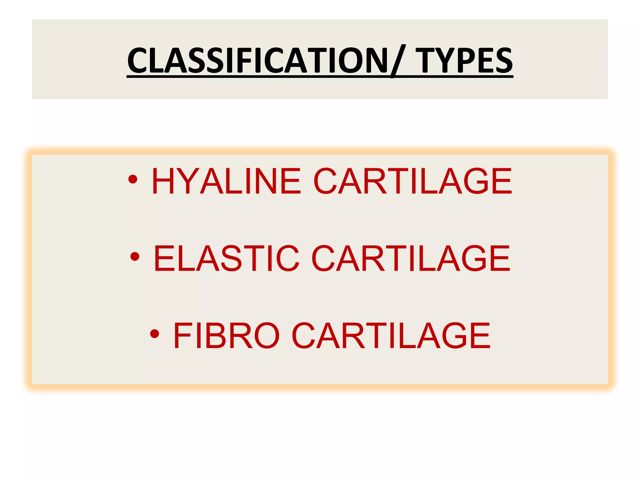 Cartilage | PPT