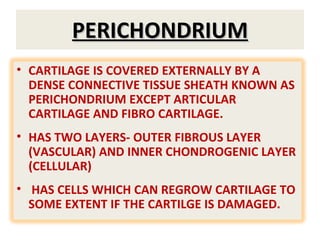 Cartilage | PPT