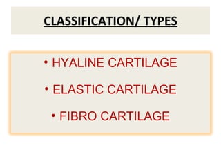 Cartilage | PPT