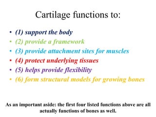 Cartilage | PPT