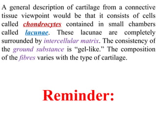 Cartilage | PPT