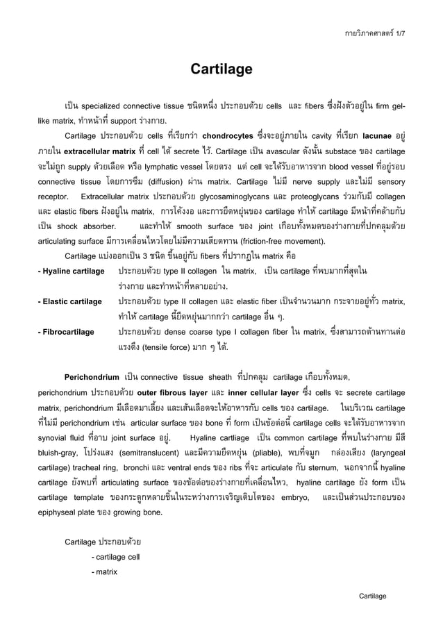 Cartilage | PDF