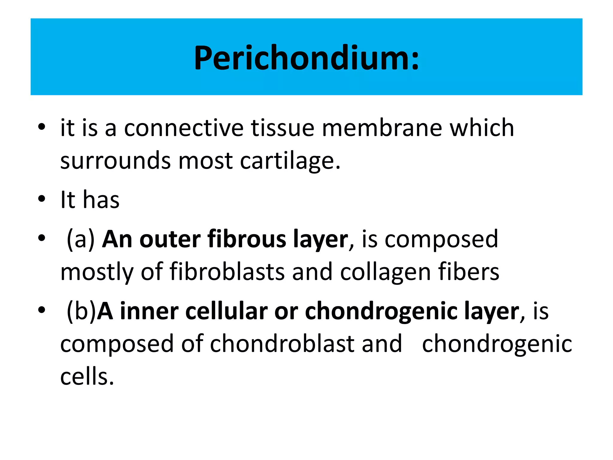 Cartilage | PPTX