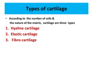Cartilage | PPTX