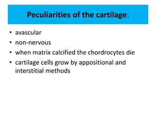 Cartilage | PPTX
