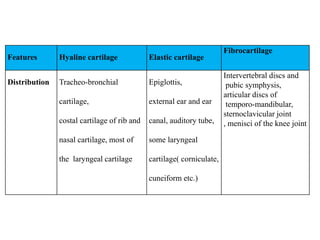 Cartilage | PPTX