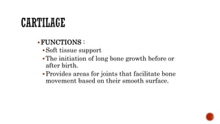 Bone & Cartilage Histology | PPT
