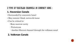 Bone & Cartilage Histology | PPT