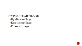 Bone & Cartilage Histology | PPT